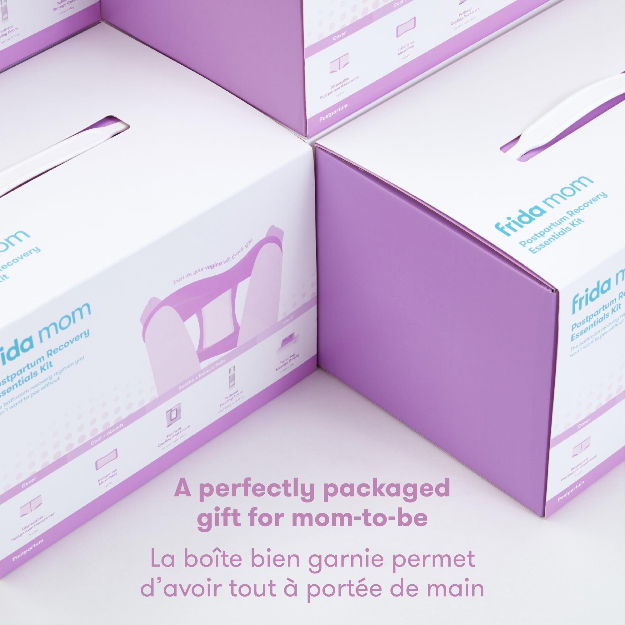 Frida Mom Postpartum Recovery Essentials Kit – Frida Canada